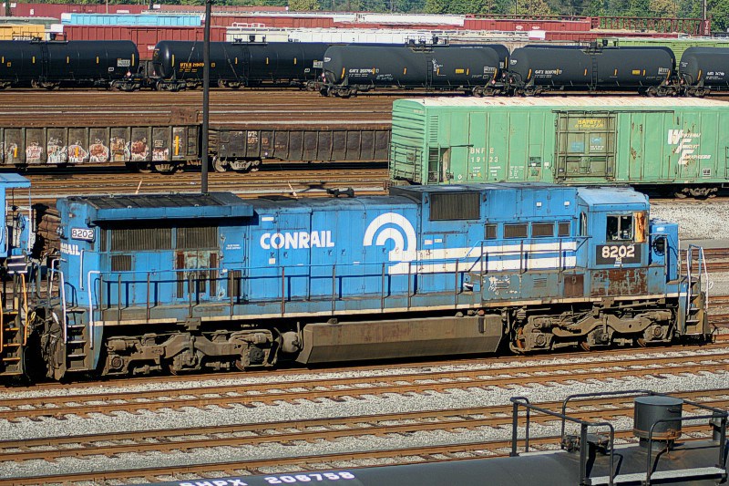 NS 8202